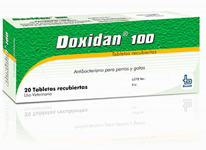 DOXIDAN 100 / LABORATORIOS BUSSIE S.A. | Vademecum Veterinario > Soy ...