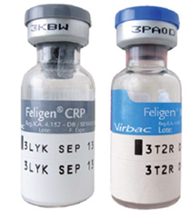 FELIGEN CRP / R / VIRBAC COLOMBIA LTDA | Vademecum Veterinario > Soy ...