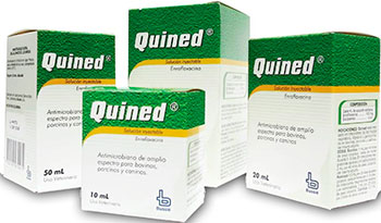 QUINED / LABORATORIOS BUSSIE S.A. | Vademecum Veterinario > Soy del Campo