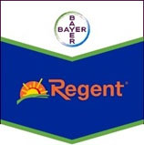 REGENT 200 SC / BAYER CROPSCIENCE S.A. | Vademecum Agrícola > Soy del Campo