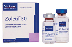 ZOLETIL 50 / VIRBAC COLOMBIA LTDA | Vademecum Veterinario > Soy del Campo