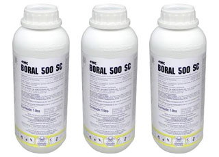 BORAL 500 SC / FMC LATINOAMERICA S.A. | Vademecum Agrícola > Soy del Campo