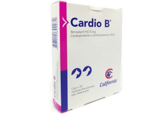 CARDIO-B / COMPANIA CALIFORNIA S.A. | Vademecum Veterinario > Soy del Campo