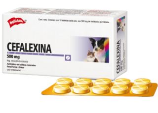 CEFALEXINA 500 MG / HOLLIDAY SCOTT S. A. | Vademecum Veterinario > Soy ...