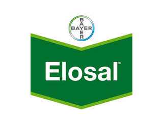 ELOSAL / BAYER CROPSCIENCE S.A. | Vademecum Agrícola > Soy del Campo