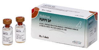 NOBIVAC PUPPY DP / MSD Salud Animal MERCK & CO INC | Vademecum ...