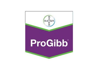PROGIBB 10 / BAYER CROPSCIENCE S.A. | Vademecum Agrícola > Soy del Campo