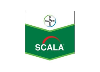 SCALA / BAYER CROPSCIENCE S.A. | Vademecum Agrícola > Soy del Campo